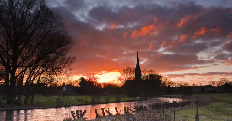 Best Things To Do In The New Forest